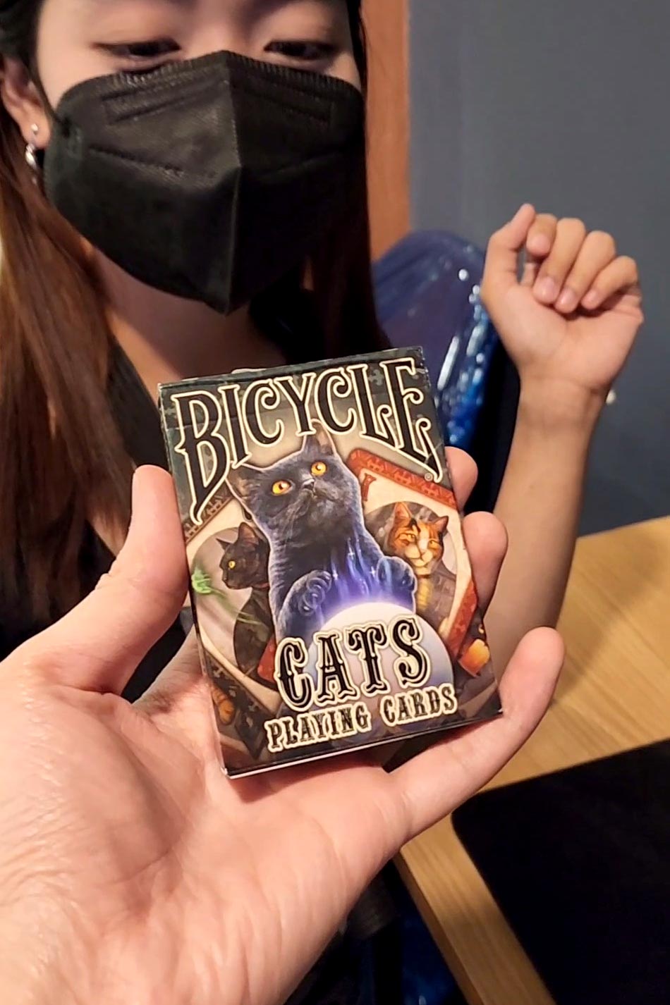 Bicycle Cats Playing Cards 🐱 – RunIt Decks