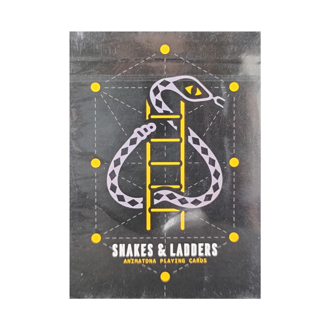 Snakes and Ladders (Marked) Playing Cards – RunIt Decks